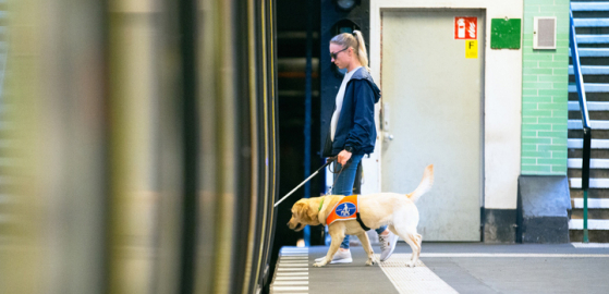 EEOC Posts New Guidance on Visual Disabilities under the ADA - UNIQ ...